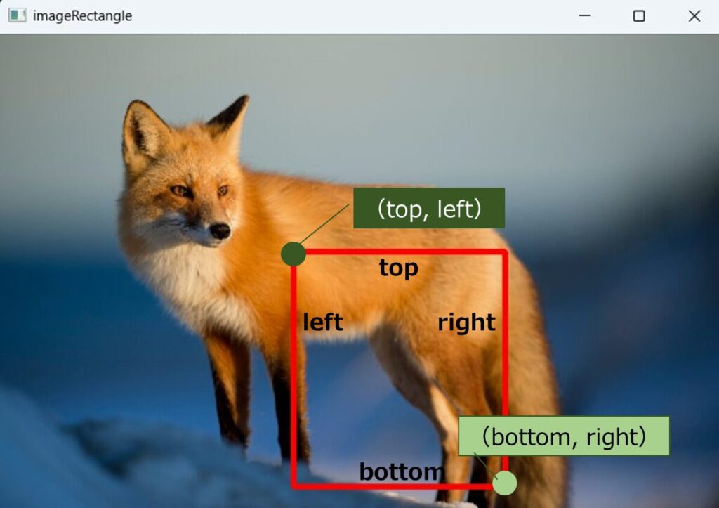 【Python】OpenCVで画像に図形を描画する